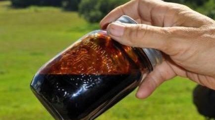 Bio oil from biomass: Applications in agriculture, biofuels, and more